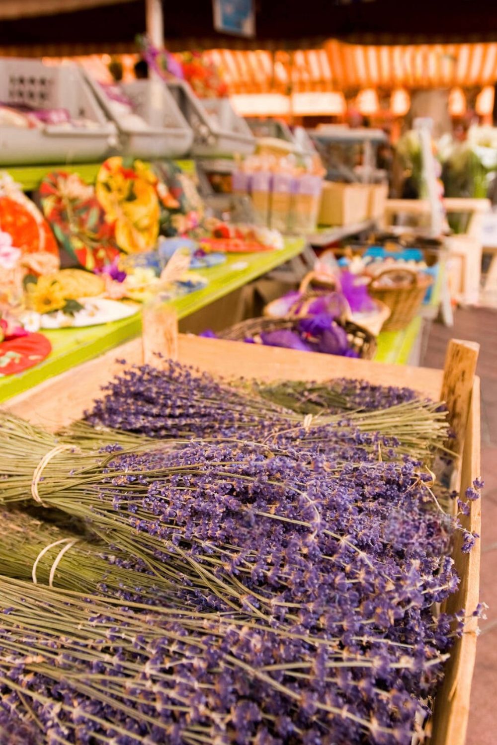 20 Basic French Phrases for Tourists to Make Your Trip Smooth • From ...
